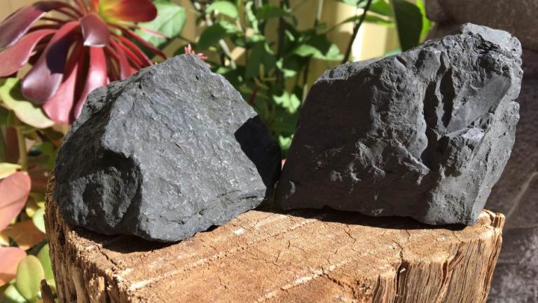What Is Shungite? Benefits, Uses, And More